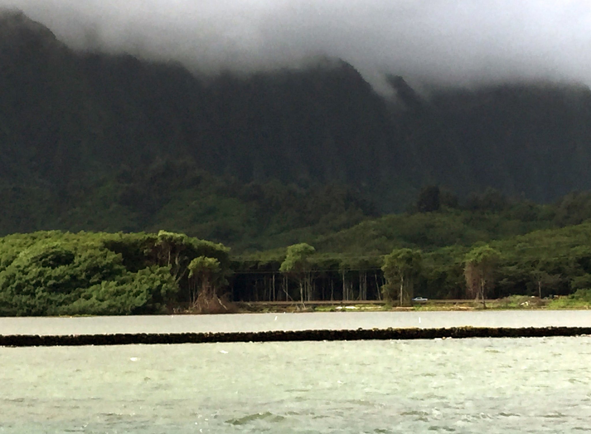 Effects of watershed restoration to traditional Hawaiian land use ...